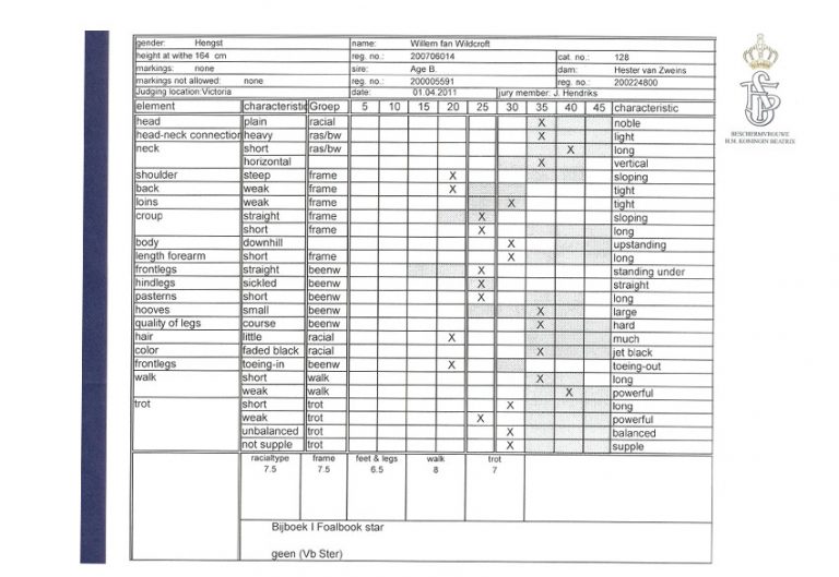 Stallion – Black Sterling